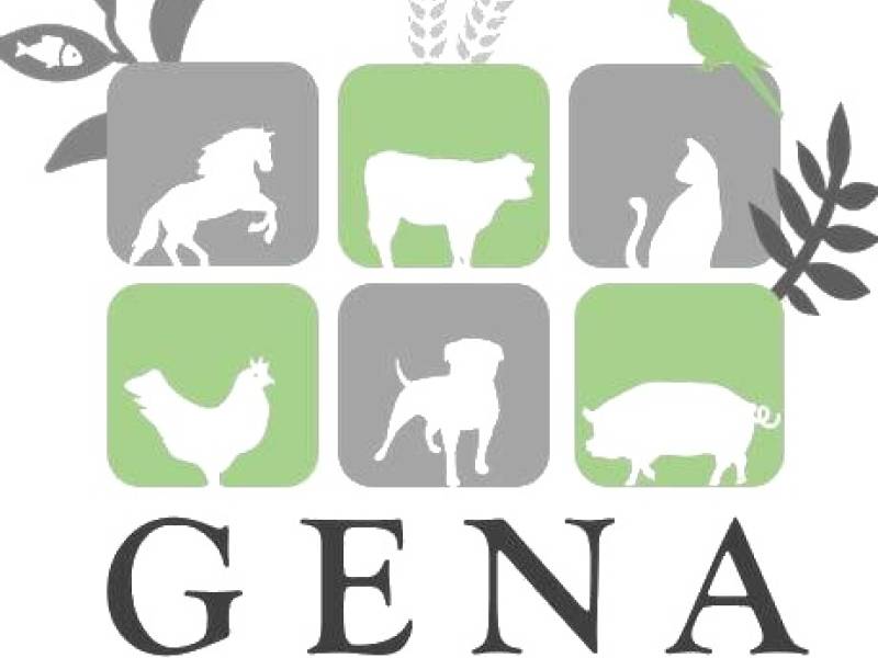 Unesp - Faculdade de Medicina Veterinária - Câmpus de Araçatuba